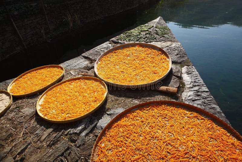 Drying Vegetable in Chinese Village Stock Photo - Image of china ...