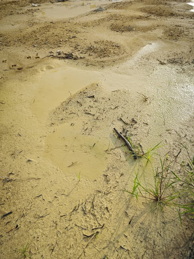 Drying Wet Mud from the Stagnant Pool of Rainwater. Stock Image - Image ...
