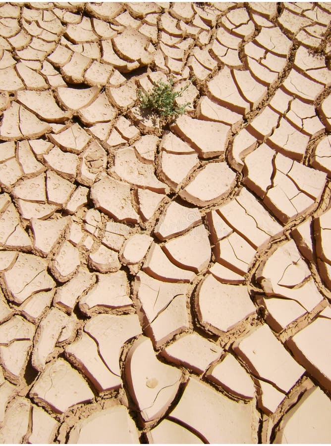 Dryness stock photo. Image of cracking, abstract, dryness - 6120334
