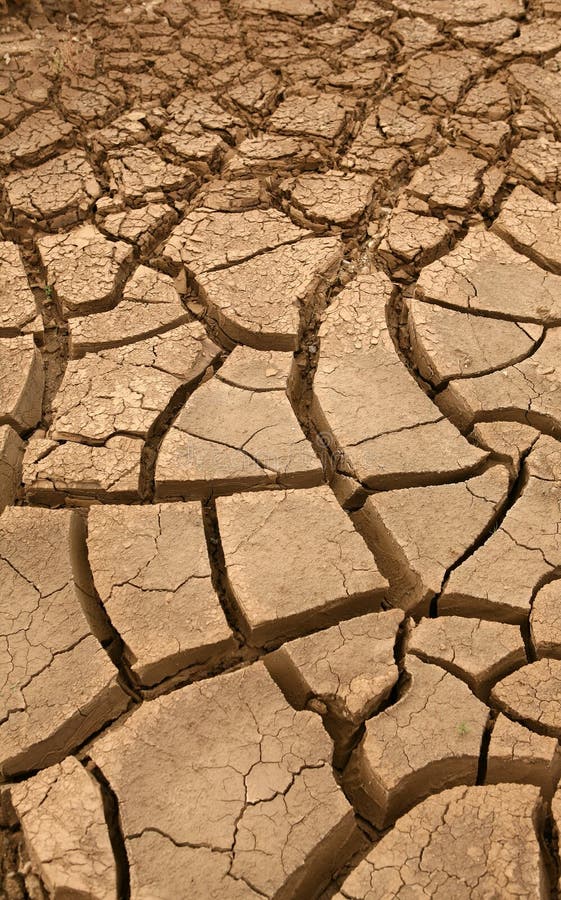 Dryness stock photo. Image of global, boden, ground, dryness - 6563576
