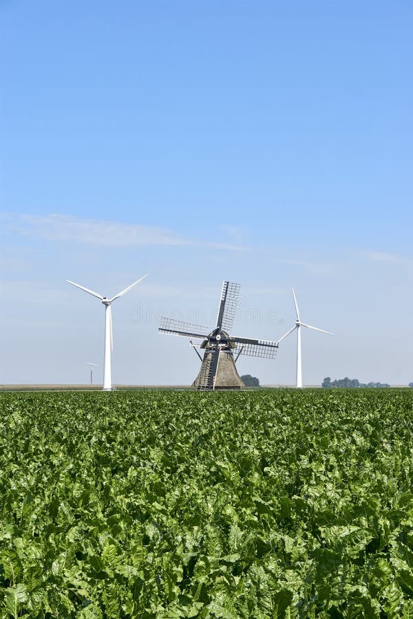 Modern Wind Turbines Behind an Old Traditional Windmill Stock Photo ...
