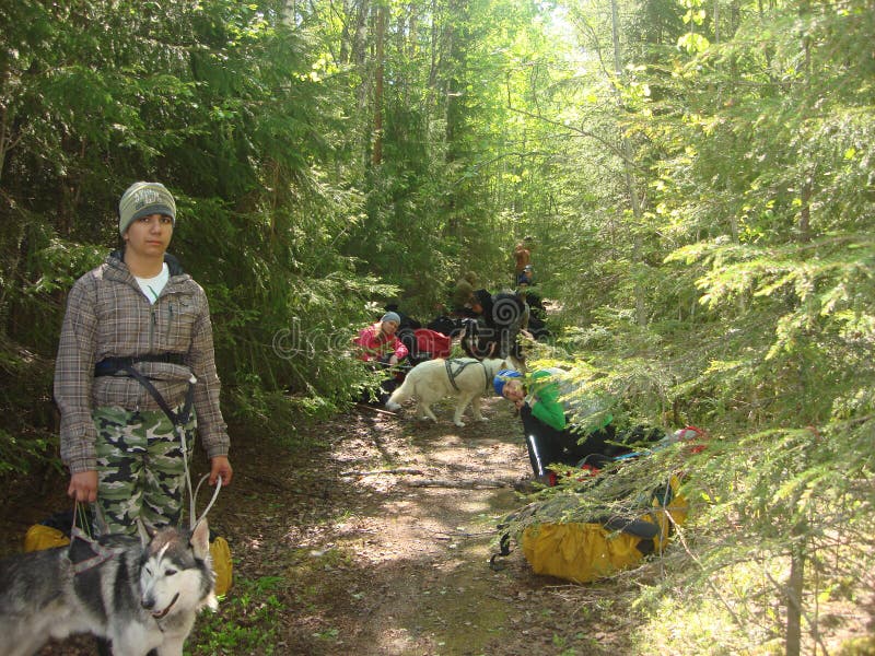 Plant, Plant Community, Tree, People In Nature Picture. Image: 95271936