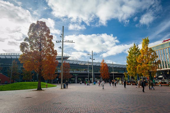 Modern Town Square with Large Dawn Redwood Trees in Fall Colors at ...