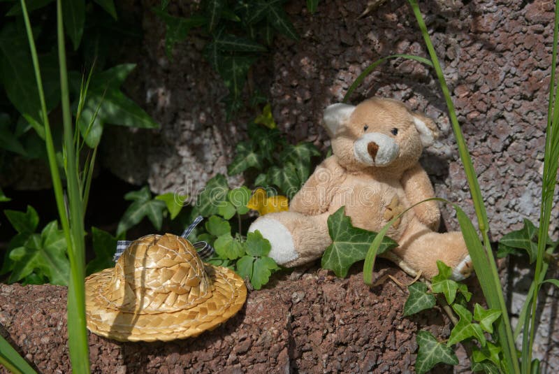 A Teddy Bear Enjoying the Sun, Outdoor. Stock Photo - Image of spring ...