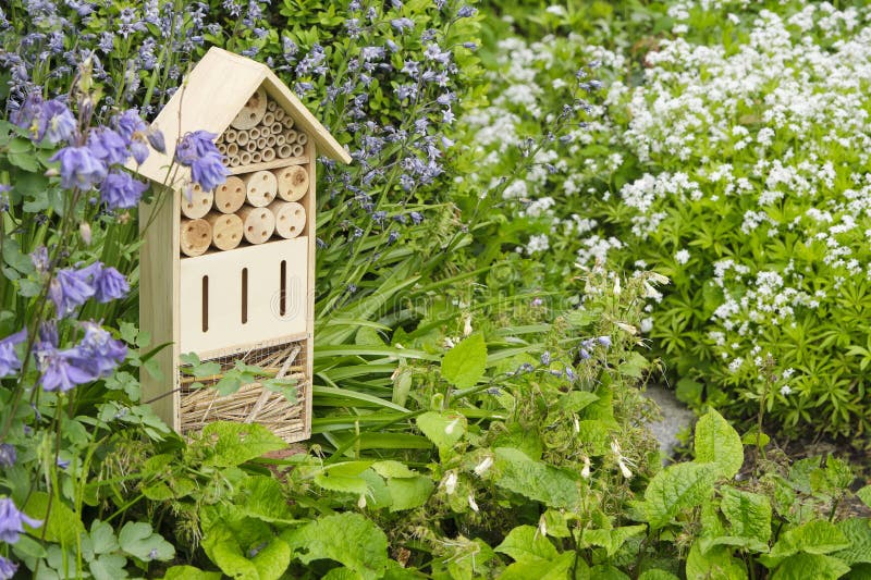An Insect Hotel or Bee Hotel in a Summer Garden Stock Image - Image of ...