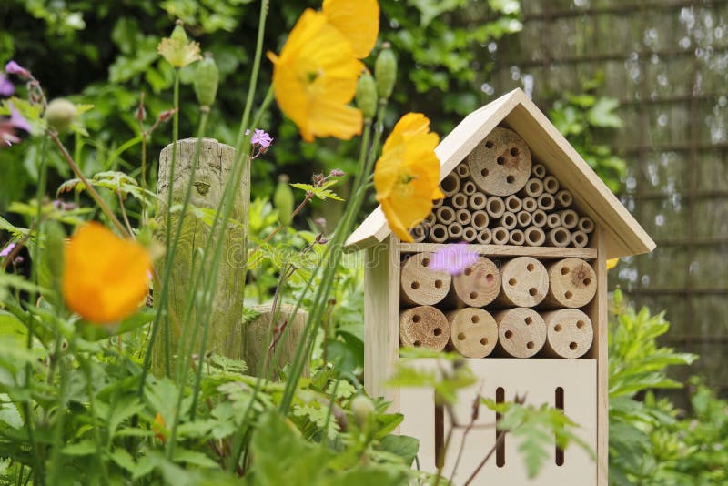 An Insect Hotel or Bee Hotel in a Summer Garden Stock Photo - Image of ...