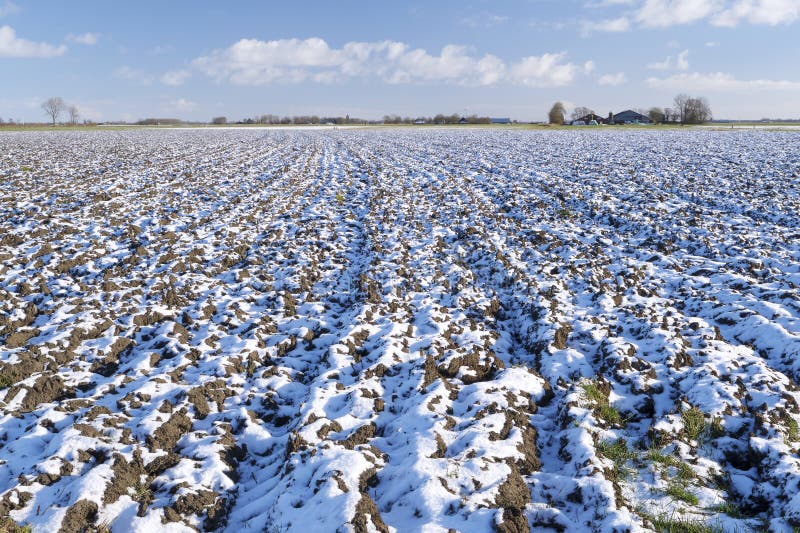 A Plowed Agricultural Field Covered with Snow Stock Photo - Image of ...