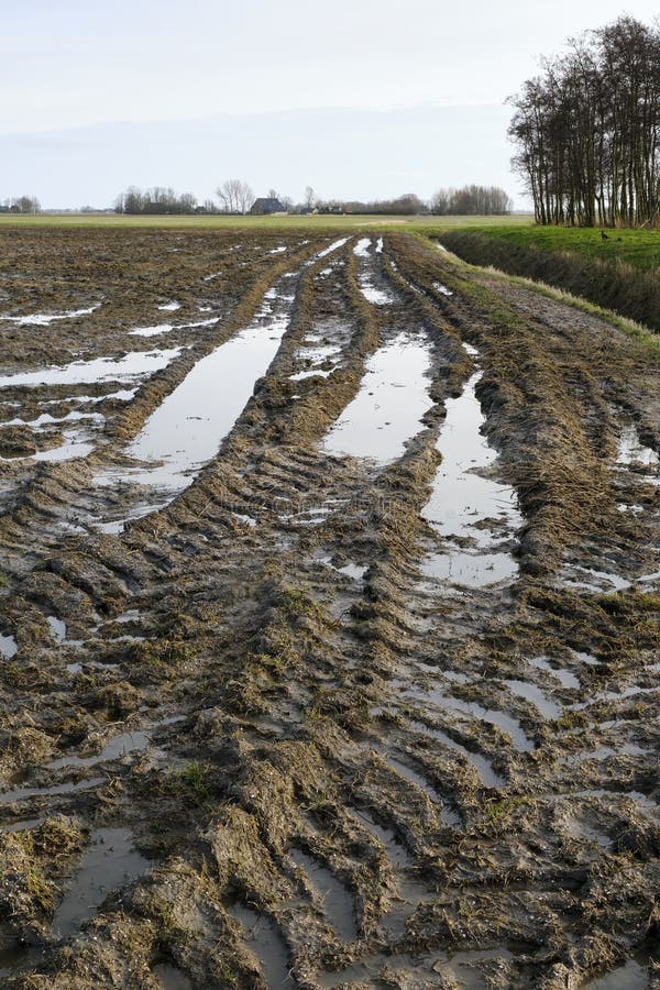 A Flooded Agricultural Field Due To Heavy Rainfall in Winter Stock ...