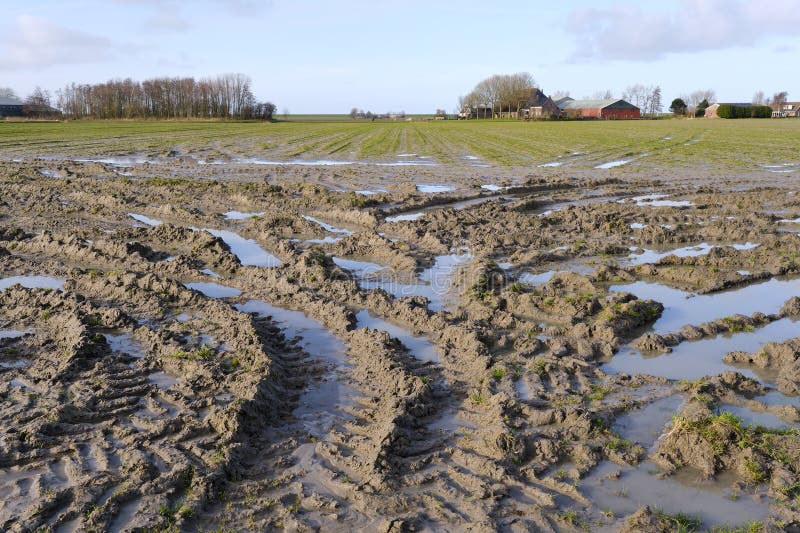 A Flooded Agricultural Field Due To Heavy Rainfall in Winter Stock ...