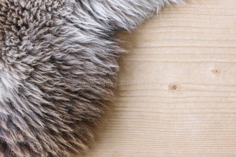 Background of a Soft Warm Sheep Fur on a Wooden Floor. Stock Image ...
