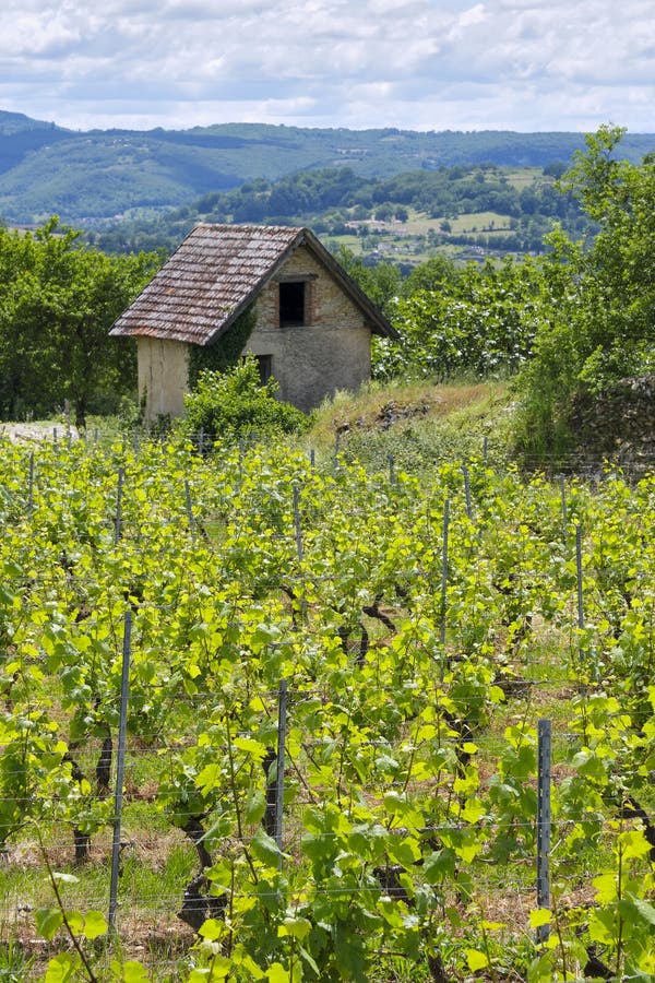 Vineyards in Spring Near Glanes in Southern France Stock Photo - Image ...