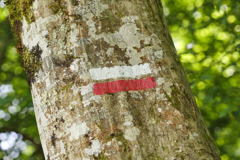 A French GR or Grande Randonnée Footpath Sign on a Tree Stock Photo ...