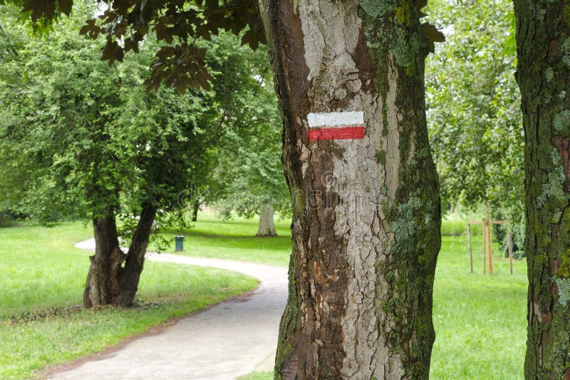 A French GR or Grande Randonnée Footpath Sign on a Tree Stock Photo ...