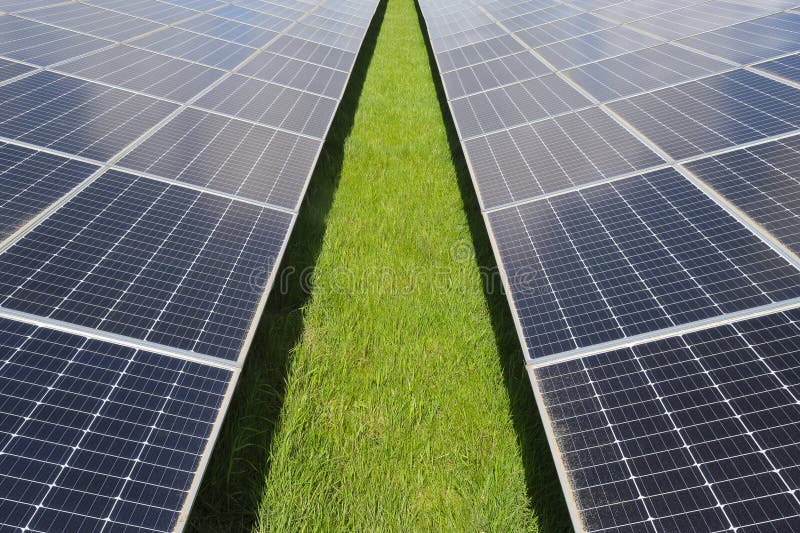 Blue Solar Cells in a Solar Panels on Green Grass Stock Photo - Image ...