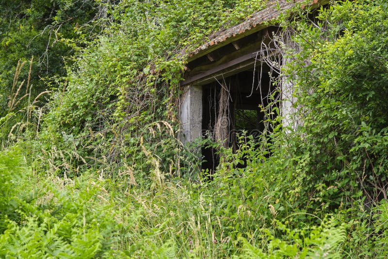 Old Overgrown Farm Barn Southern France Stock Photos - Free & Royalty ...