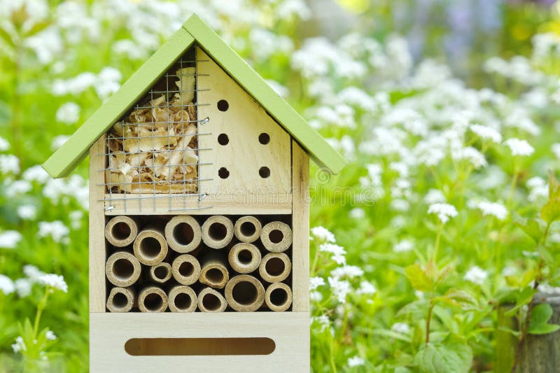 An Insect Hotel or Bee Hotel in a Summer Garden with Flowers Stock ...