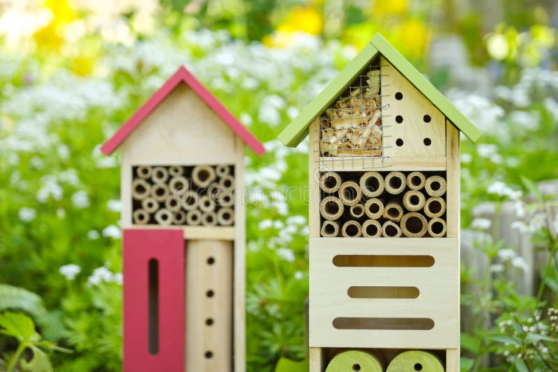 Two Insect Hotels or Bee Hotels in a Summer Garden with Flowers Stock ...