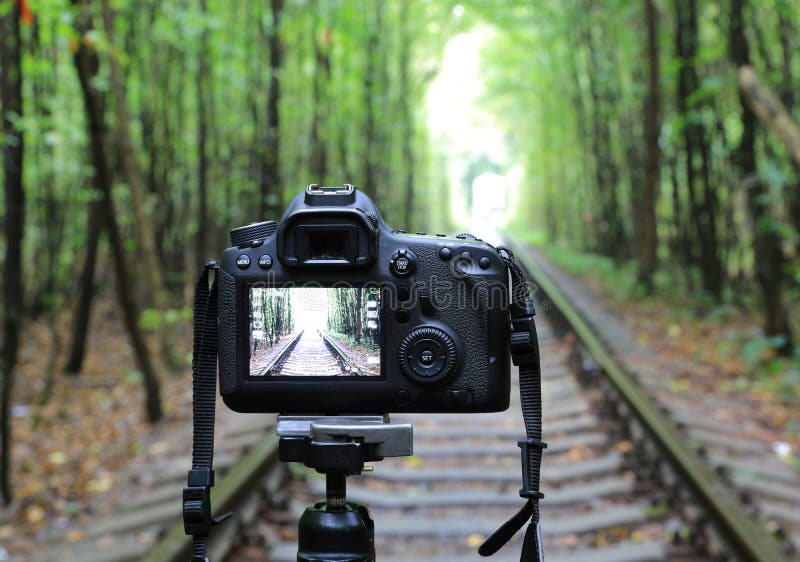 DSLR Camera on Railway in Forest Stock Image - Image of back ...