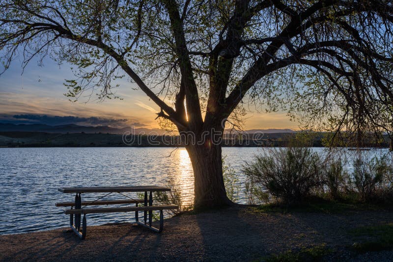 April Picnic Table stock photo. Image of plant, sunrise - 329510200