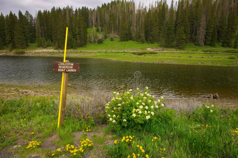 Eggleston Launch stock photo. Image of colorado, eggleston - 250175854