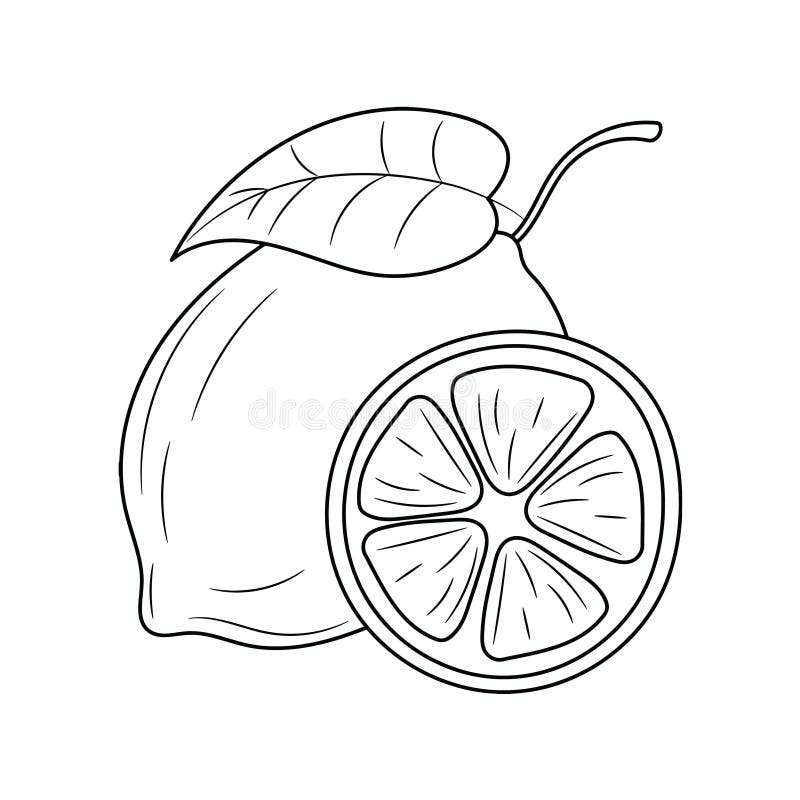 Lemon Outline Bold Vector Icon Which Can Be Easily Modified or Edited ...