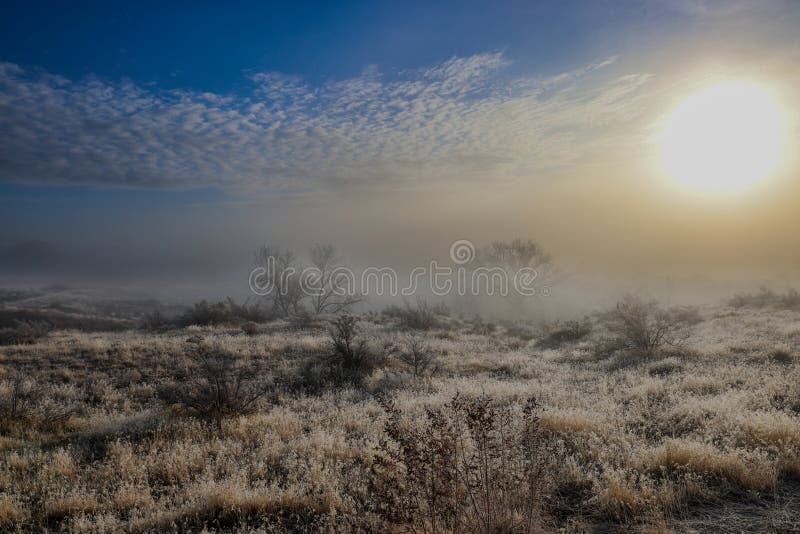 High Desert December Sun stock image. Image of frost - 308490983