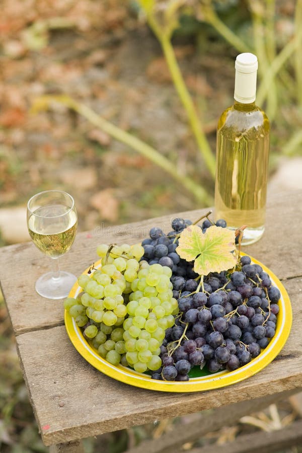Du raisin au vin image stock. Image du alcool, vigne - 11407903
