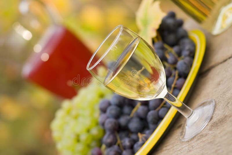 Du raisin au vin image stock. Image of rouge, wineglass - 11407939