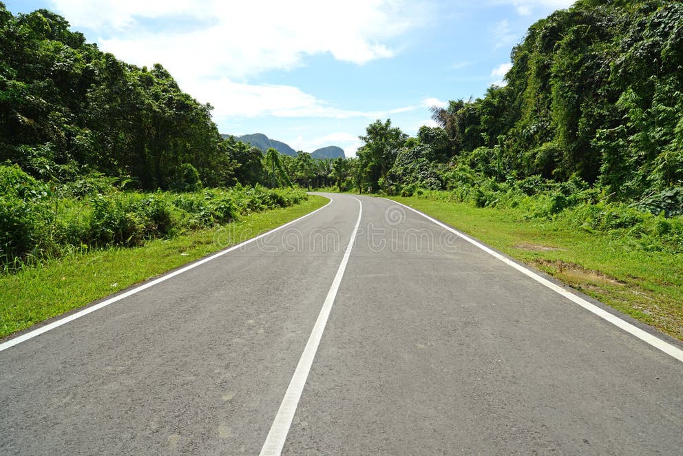 Dual Carriage Road stock photo. Image of motorway, lane - 28915210
