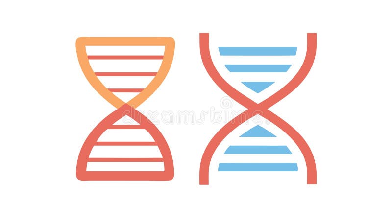 Dual DNA Hourglasses: Genetic Progression & Ancestry Time, Vector ...