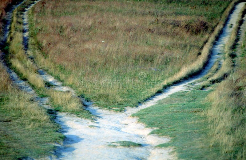 Splitting the Footpath in the Park. Summer Landscape Stock Image ...