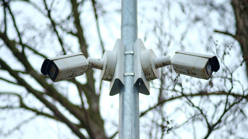 Dual Security Cameras on Metal Pole with Bare Trees Stock Photo - Image ...