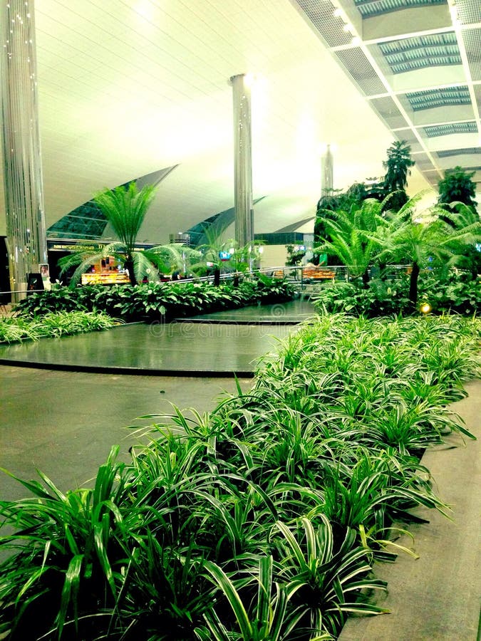Dubai airport stock photo. Image of creative, green, terminal - 43097424