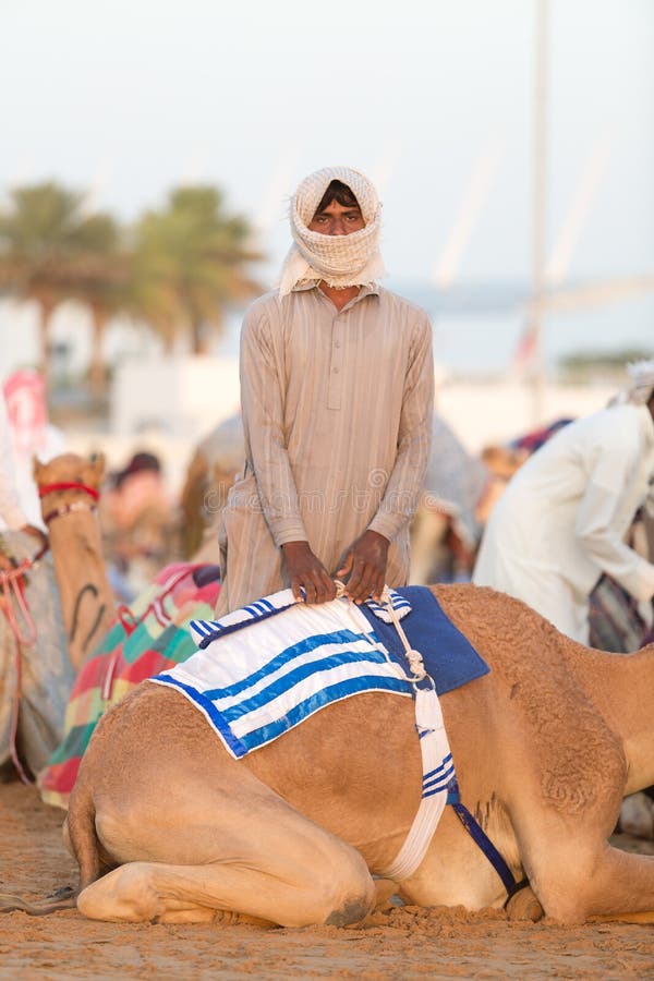 Dubai Camel Racing Club Camel And Keeper. Editorial Photography - Image ...