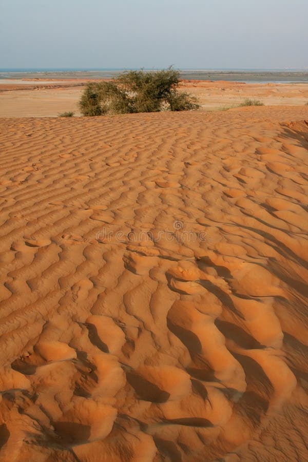 Desert Camp stock image. Image of home, protection, sand - 8403127