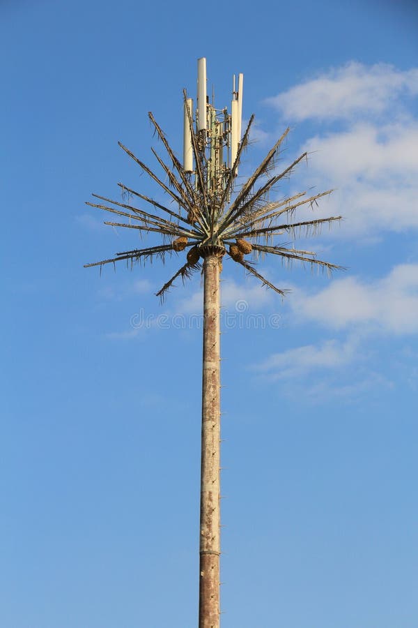 Hidden 5g Tower Stock Photos - Free & Royalty-Free Stock Photos from ...