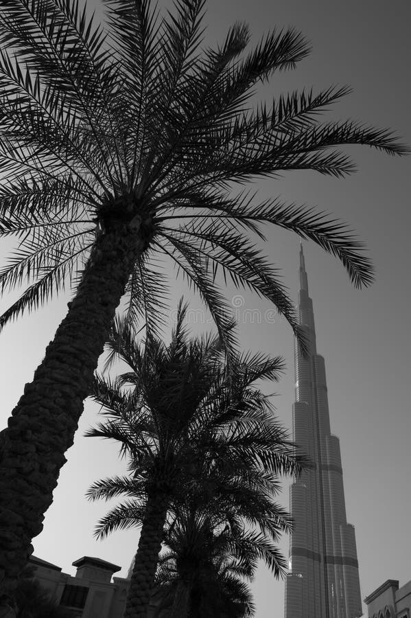 Dubai Skyline with Palm Tree Editorial Stock Image - Image of landmark ...