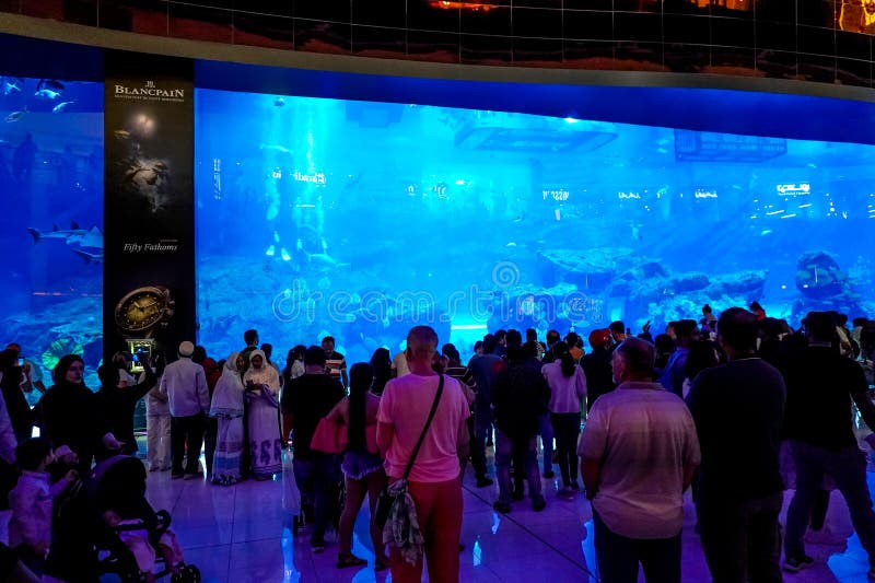 Dubai, UAE - March,18,2023: Huge Aquarium with Fish in the Dubai Mall ...
