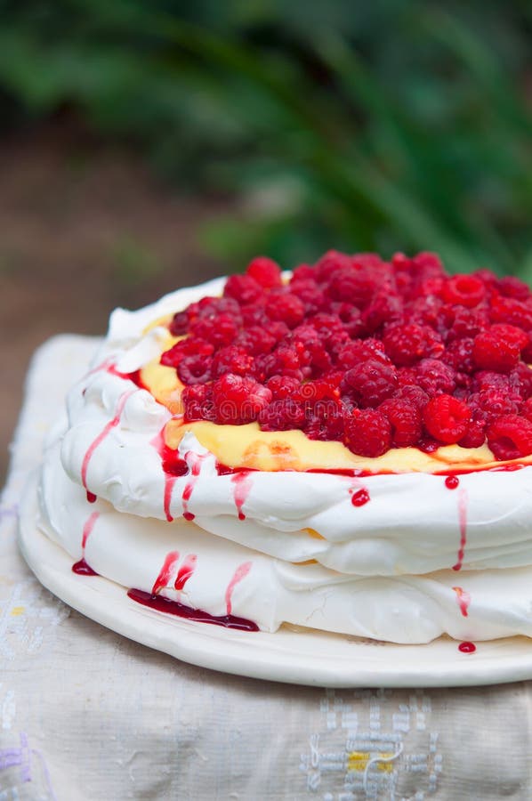 Pavlova Varvade Kakan Med Choklad Och Kakao Arkivfoto - Bild av gourmet ...