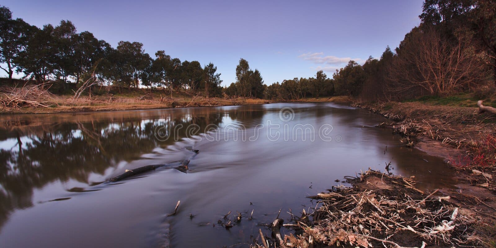 Wineplants stock image. Image of wine, valley, river, cudgegong - 2207373