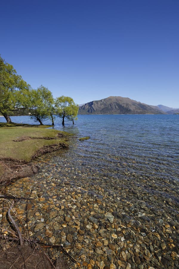 Dublin Bay, Lago Wanaka, NZ Fotografia Stock - Immagine di aperto, baia ...