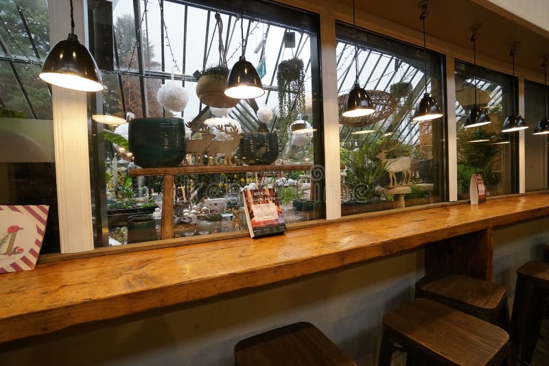 Avoca store Dublin editorial photo. Image of dress, experience - 204676916