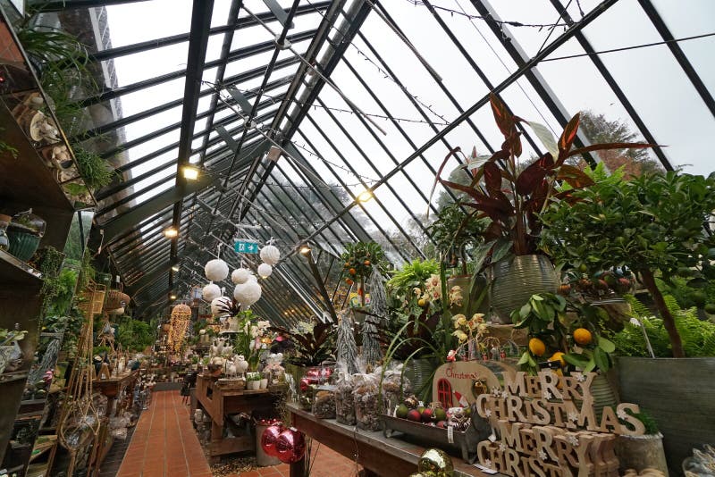 Avoca store Dublin editorial stock image. Image of design - 204676924