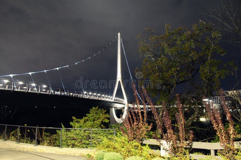 Dublin Link Bridge at Night Stock Photo - Image of night, plants: 297454272