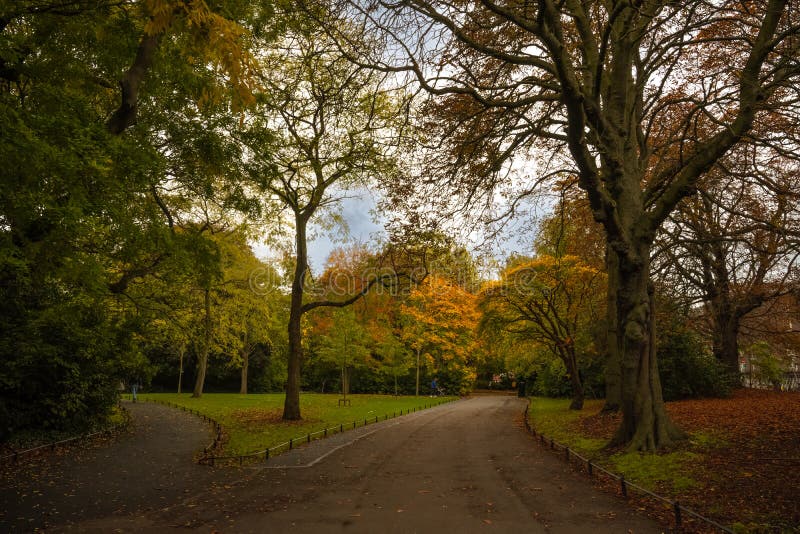 Dublin Parks in the Autumn Yellow Leaves Stock Image - Image of leaves ...