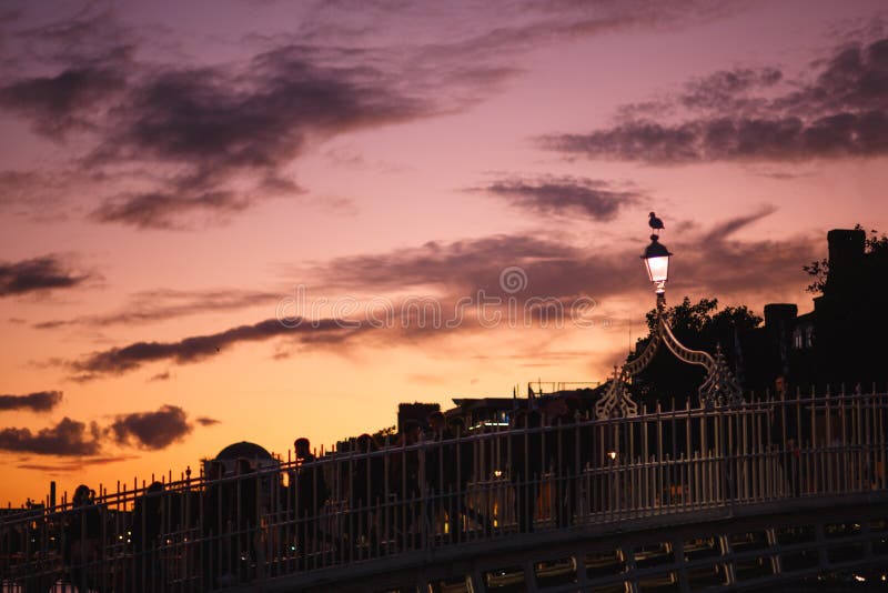 Dublin`s Cityscape during a Colorful Sunset with Clouds and Seagulls ...