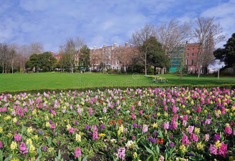 Dublin with spring flowers stock photo. Image of merrion - 294098842