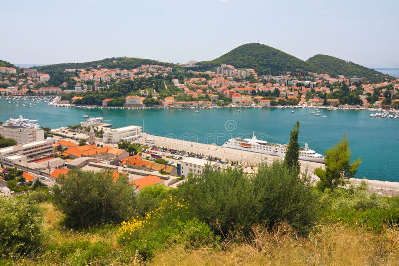 Clown in business suit stock photo. Image of metaphor - 31365784