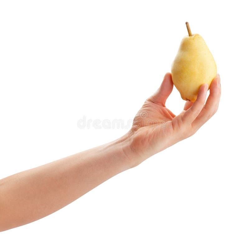 Duchess pear in hand stock image. Image of vivid, fruit - 214340733