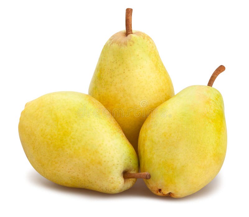 Duchess pear stock image. Image of freshness, fruit - 177970455